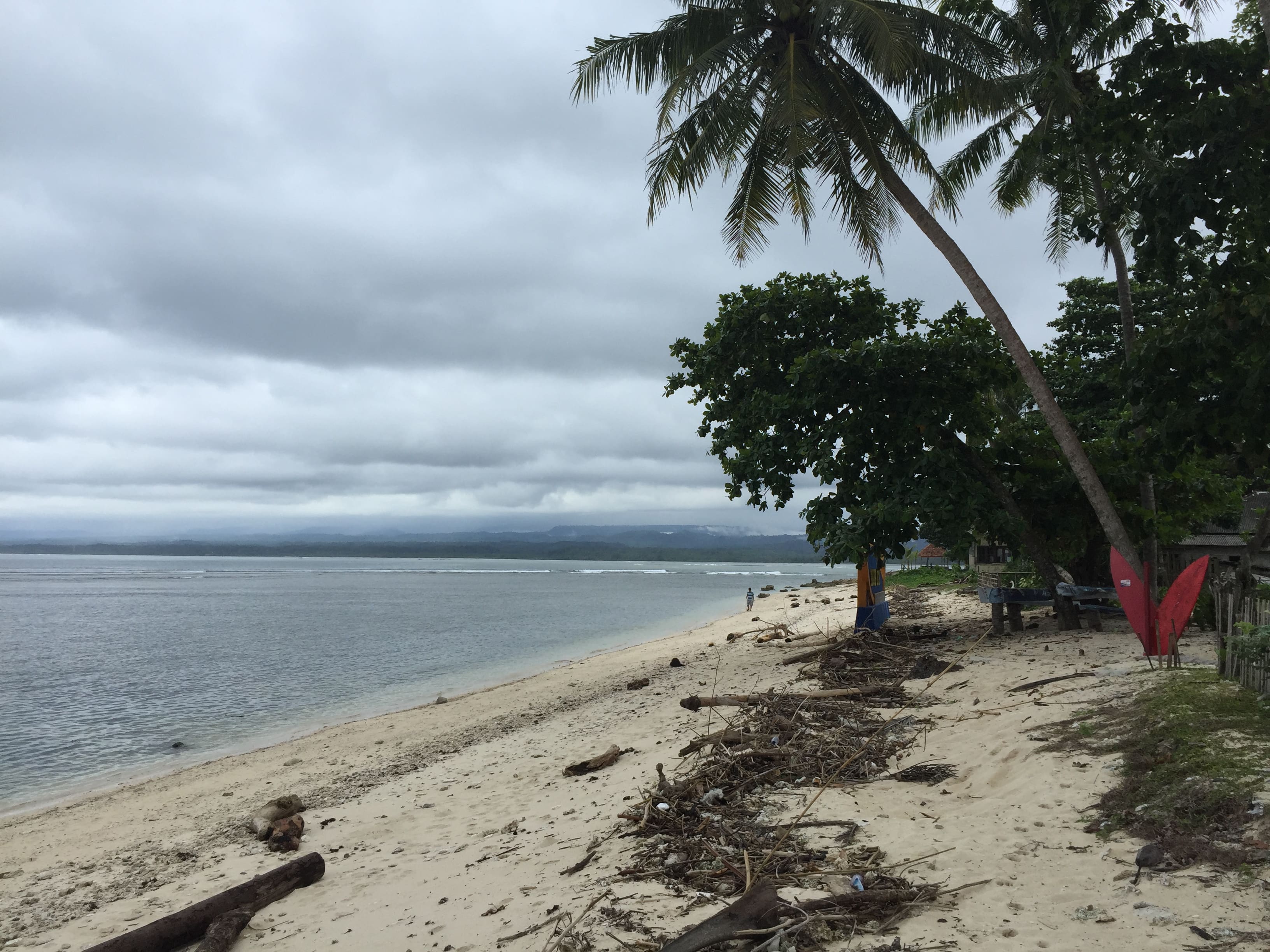 Pantai Tanjung Setia dan Krisis Kesetiaan | LautSehat.ID
