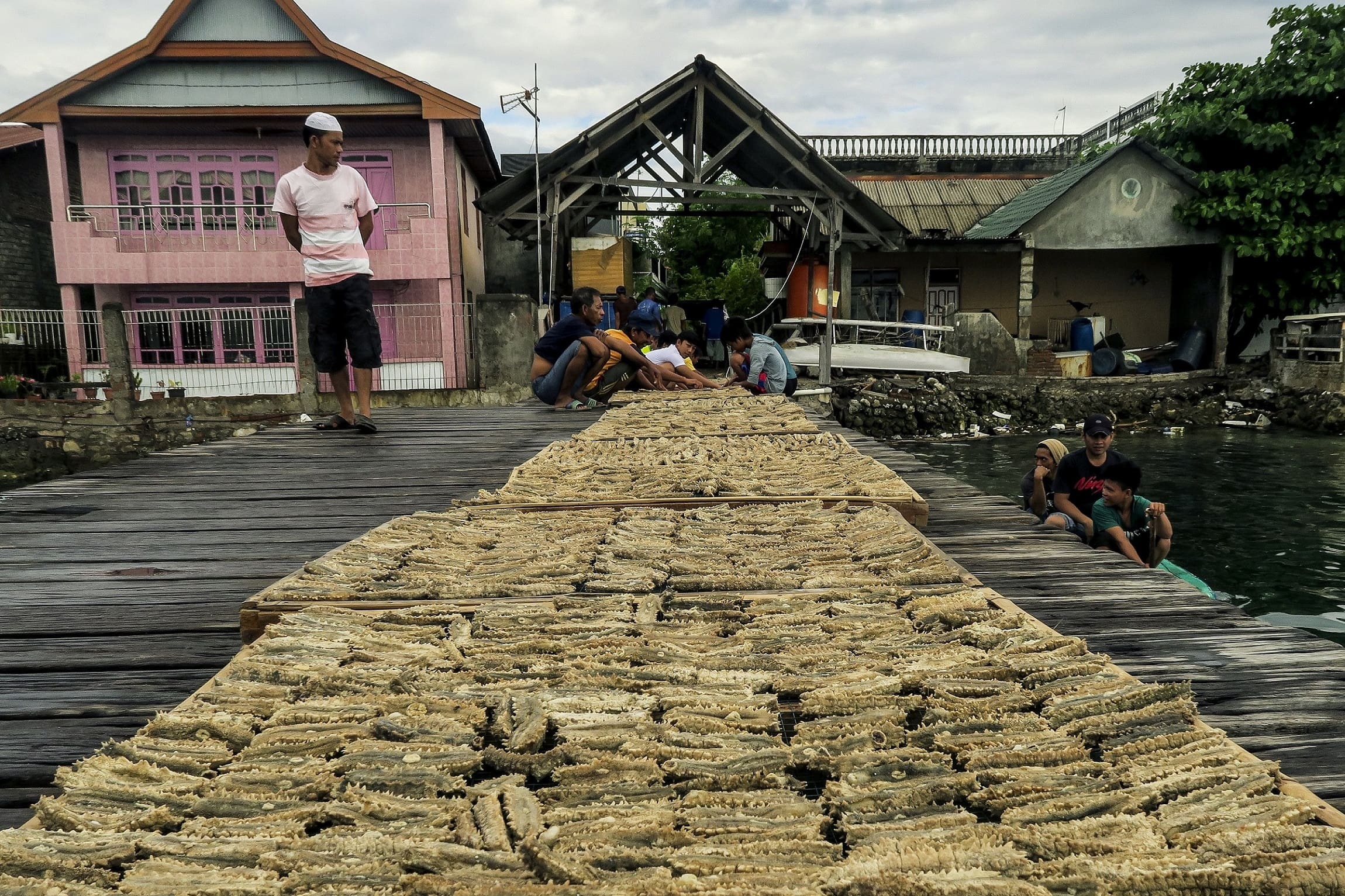 Pulau Barrang Lompo di Kepulauan Spermonde: Salah Satu Penghasil ...