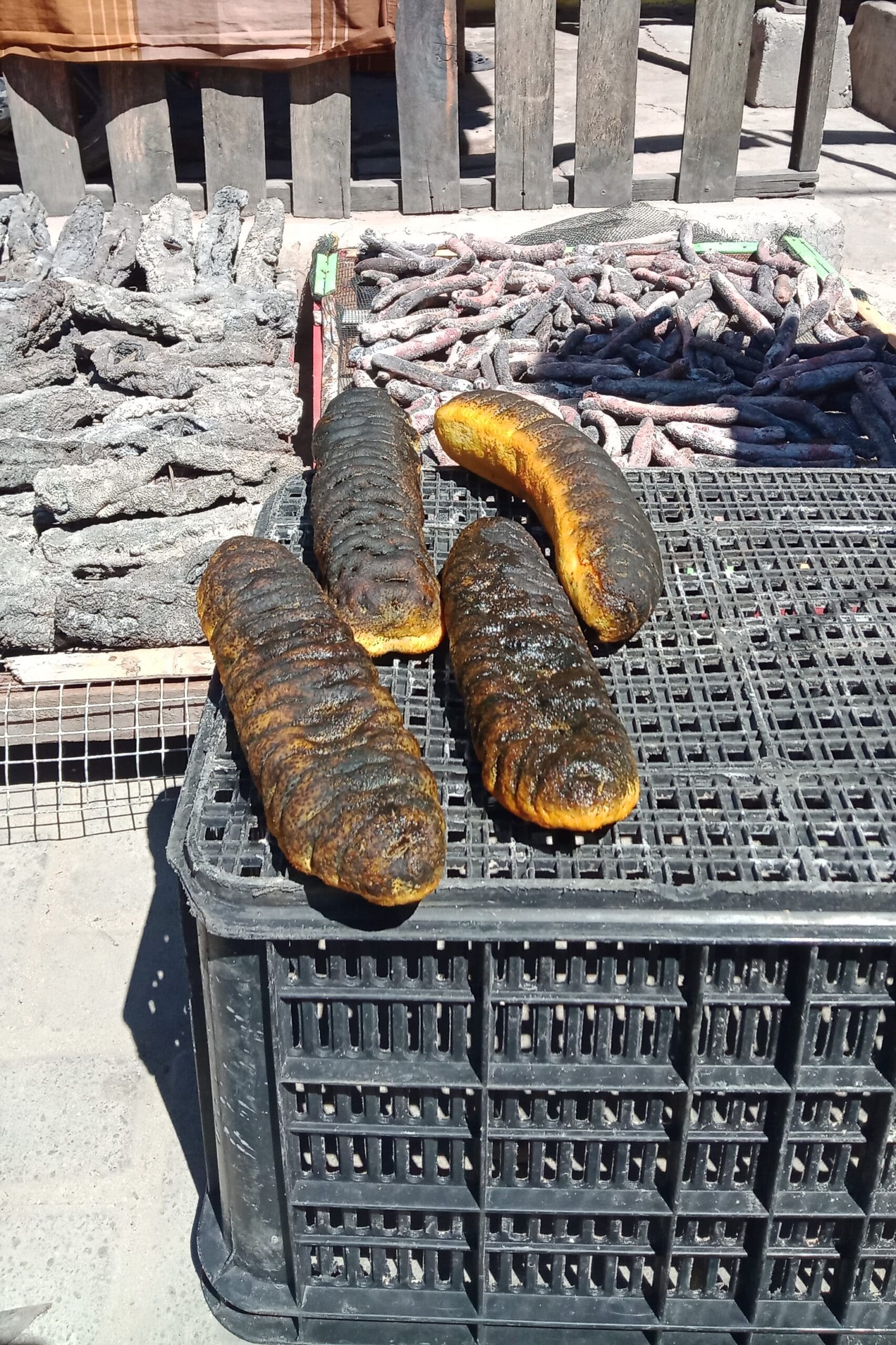 Pulau Barrang Lompo di Kepulauan Spermonde: Salah Satu Penghasil ...