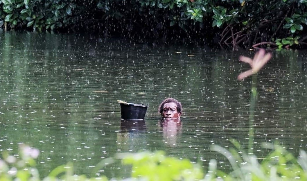 Hutan Perempuan yang Kian Terancam | LautSehat.ID