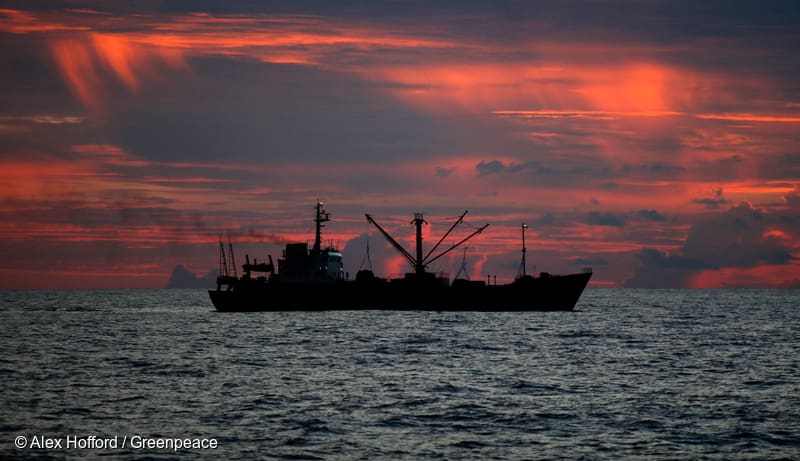 Perizinan Satu Pintu Untuk Selamatkan Nasib Awak Kapal Perikanan Migran ...