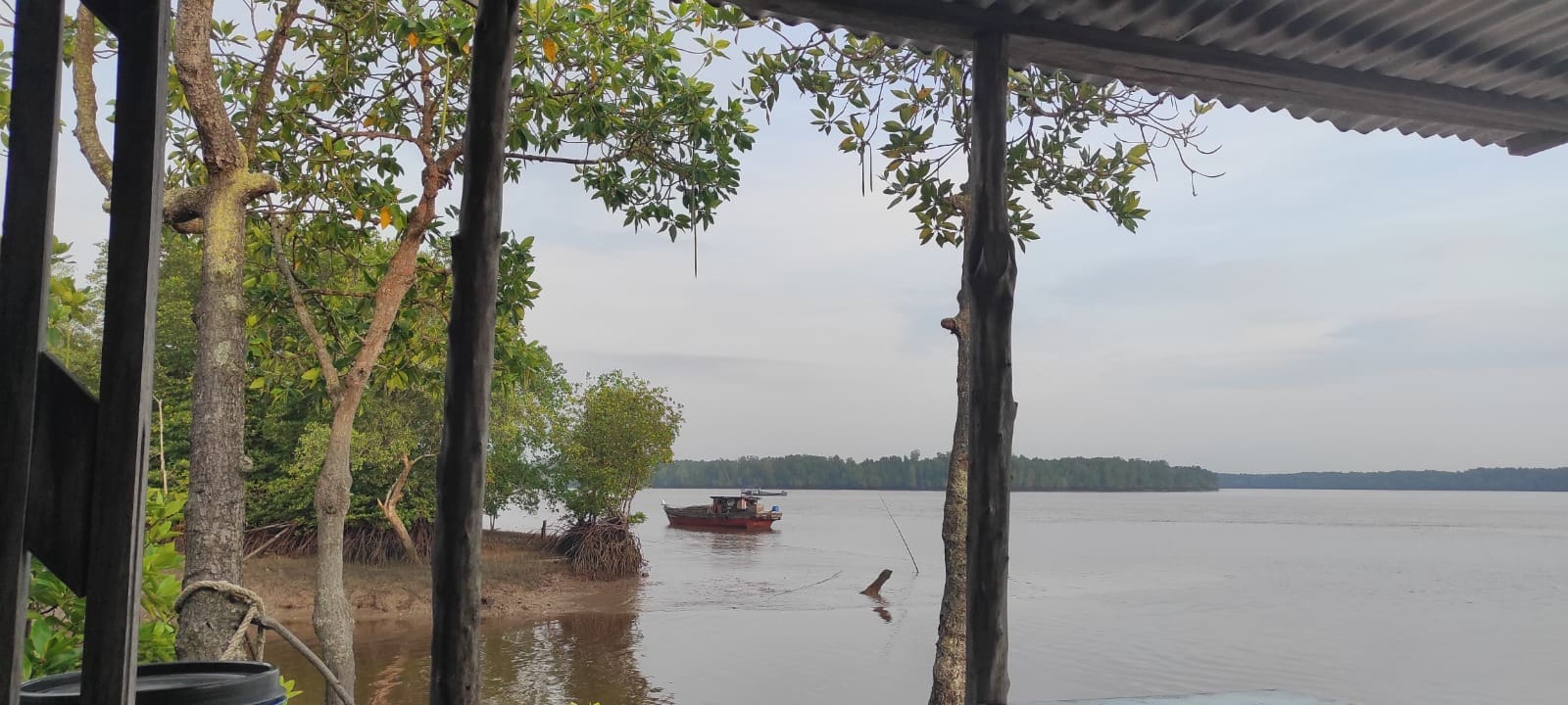 Konservasi: (Bukan) Basa-Basi? | LautSehat.ID