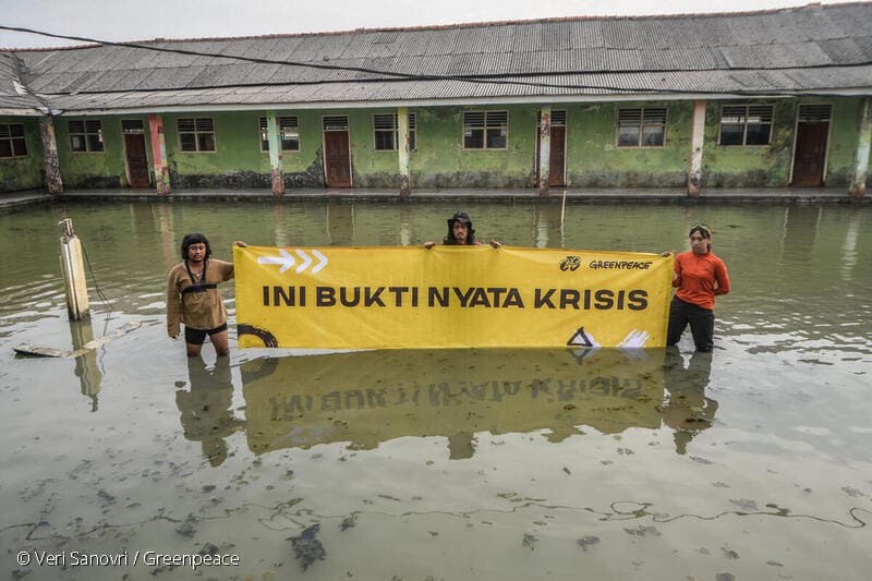 Dampak Krisis Iklim terhadap Ekosistem Laut dan Masyarakat Pesisir | LautSehat.ID