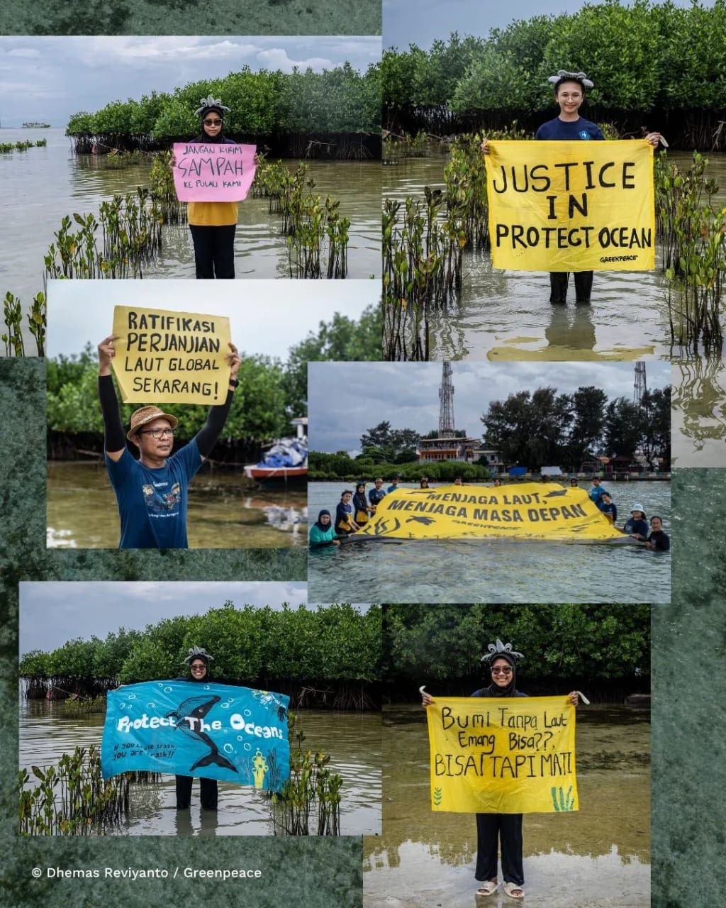Laut Sehat, Masyarakat Berdaya | LautSehat.ID